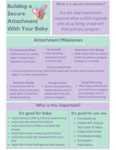 Secure Attachment Flyer - New Mexico Alliance for School-Based Health Care
